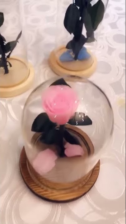 vechnie rozi вечные розы роза в колбе forever rose - YouTube