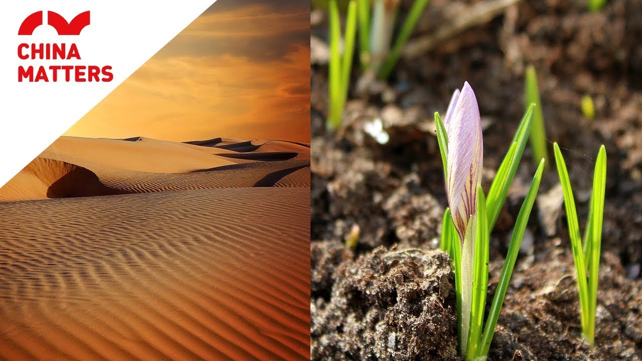 This magic potion turns sand to soil - YouTube