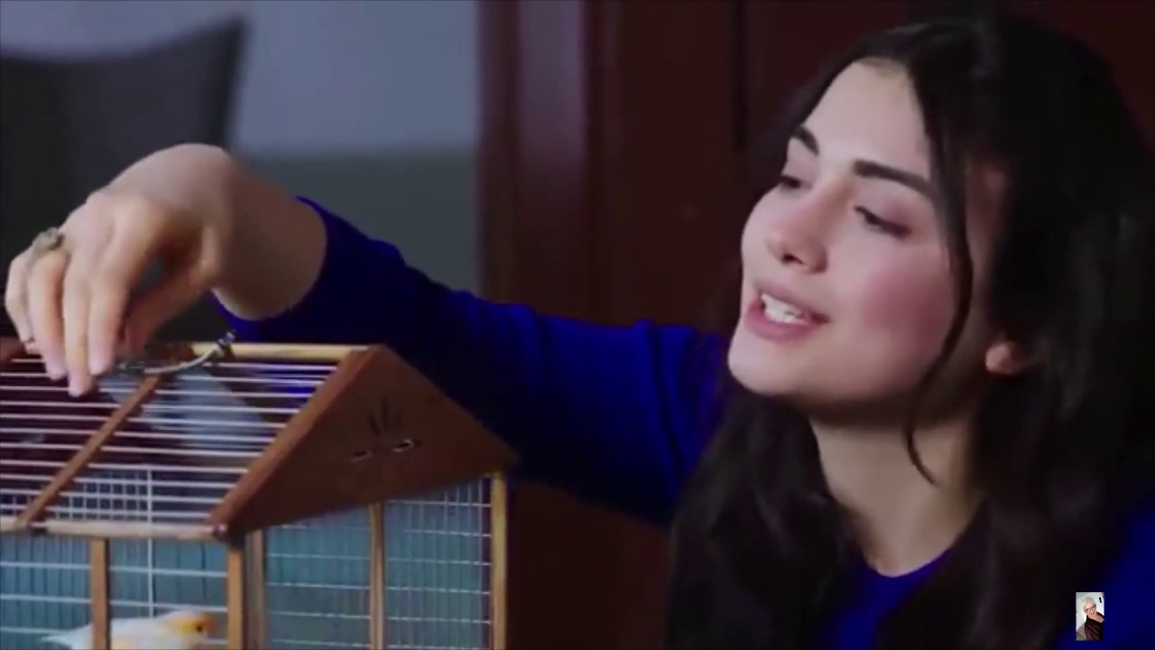 Rayhan i Emir : fragmenty odc 10 serialu Przysięga - YouTube