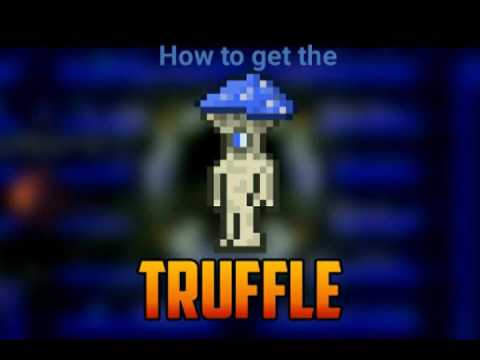 How to get the truffle npc - YouTube