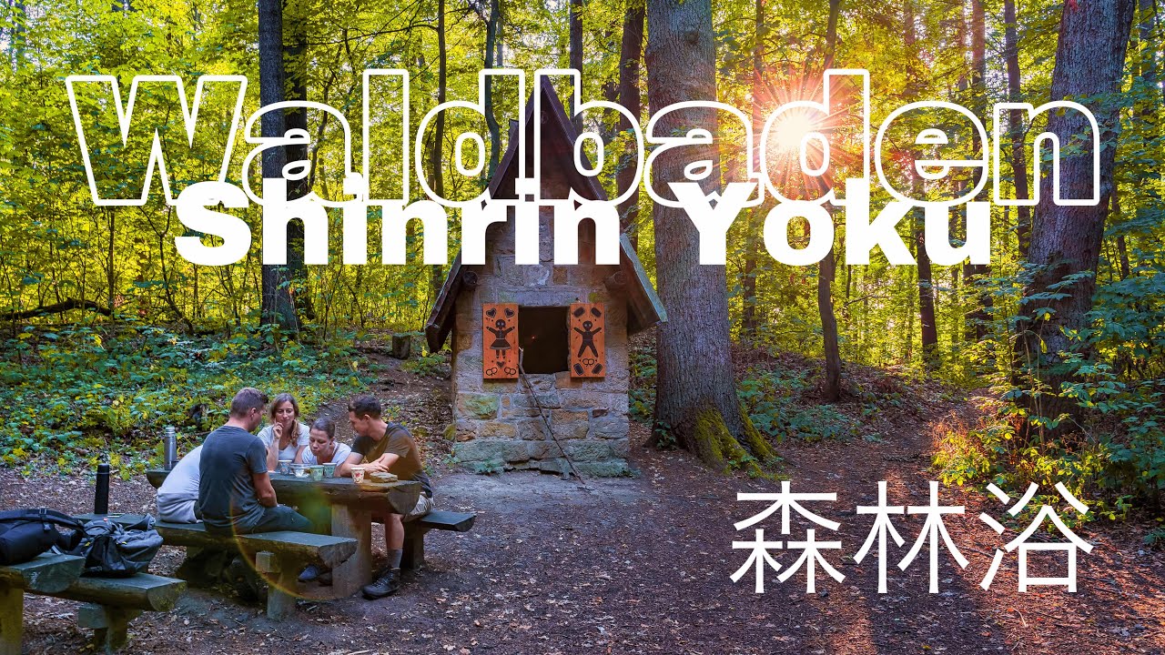 Waldbaden - Shinrin Yoku - 森林浴 Dresden - Tharandter Wald Imagefilm - YouTube
