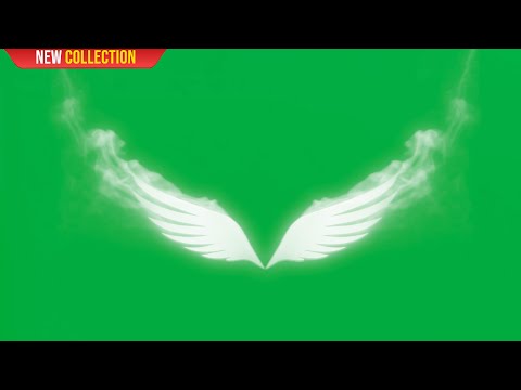 Green Screen Wings Animation | 4K | Global Kreators