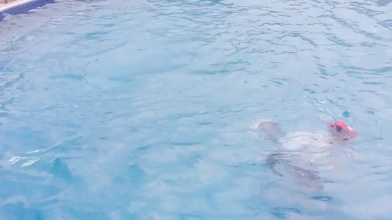 Swimming and water treading - YouTube