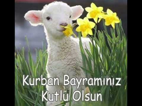 kurban bayramı ümmetin bayramı - şiir | seslendiren : hasan Günel