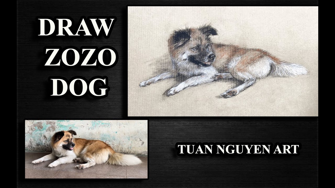 DRAW ZOZO DOG full - Tuan Nguyen ART - YouTube