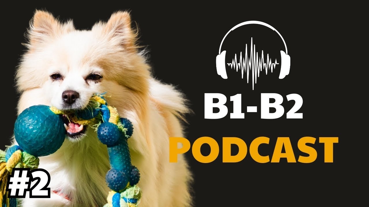 B1-B2 English Listening Podcast | PETS - YouTube