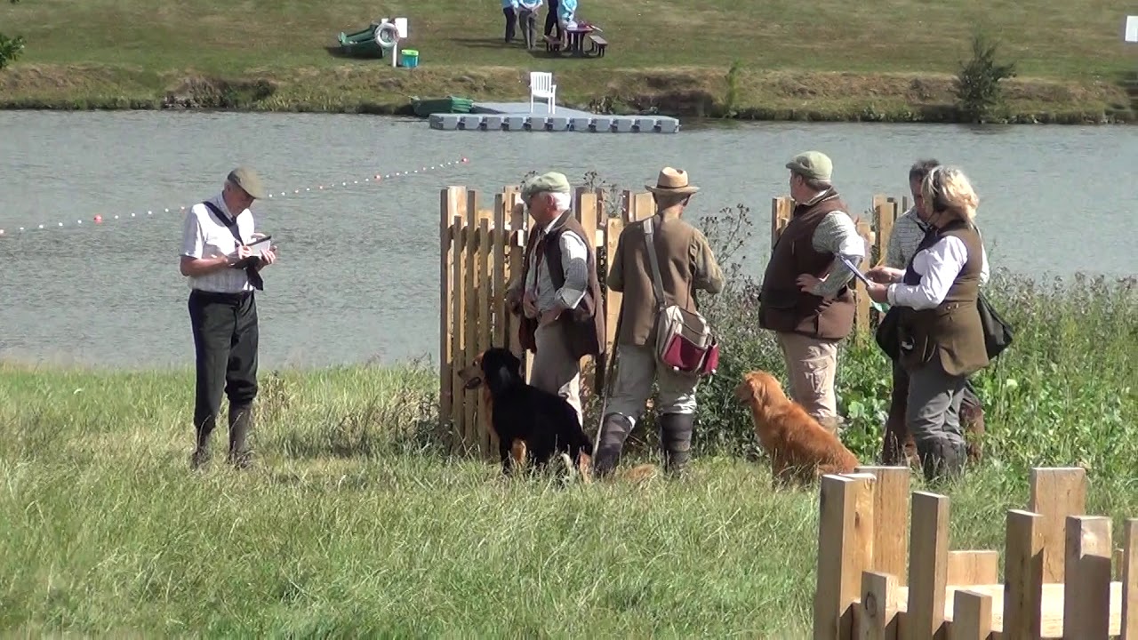 CLA Game Fair 2016 (1/3) - YouTube
