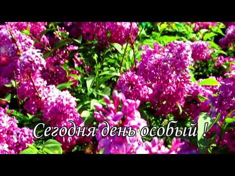 🌼🌸 Супер поздравление 8 марта!🌷🌻С Международным женским днем🌹🌹