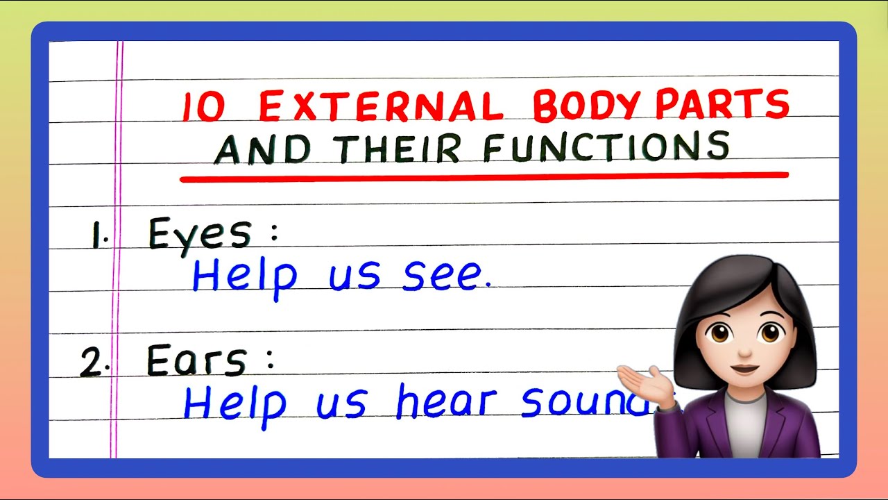 External Body Parts and Their Functions | 10 External Body Parts and ...