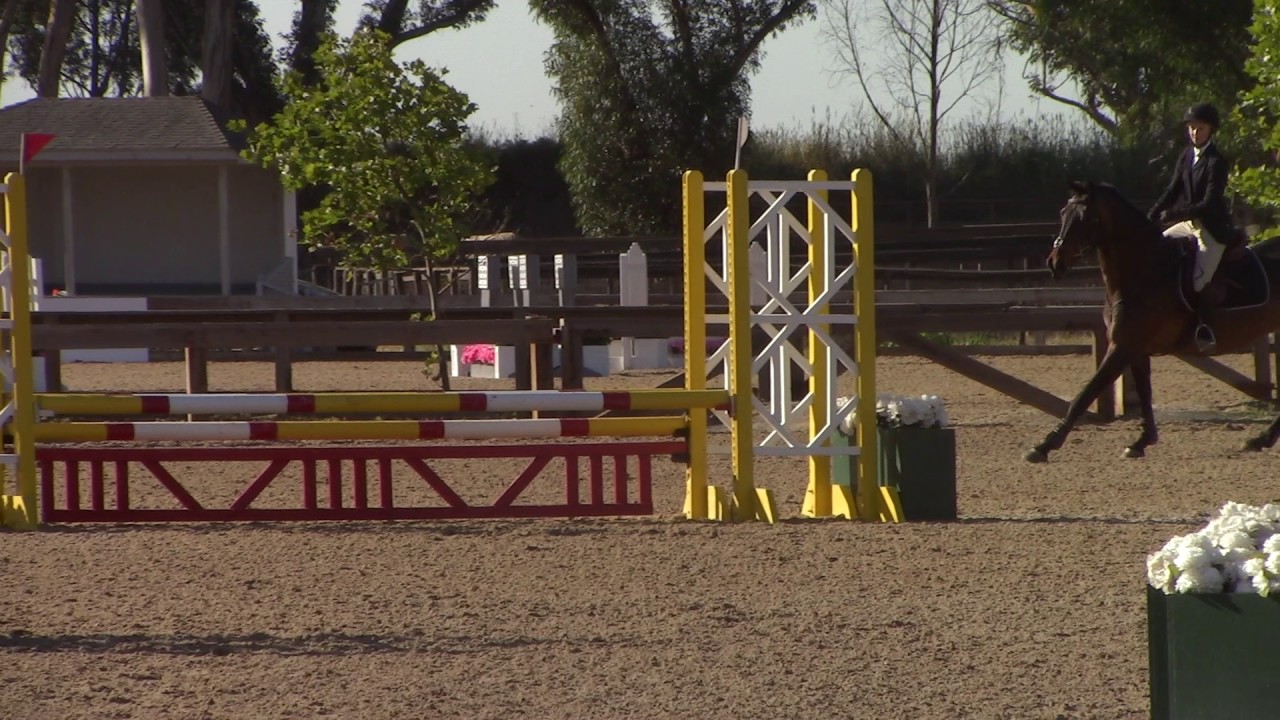 HMI equestrian - Governess - YouTube