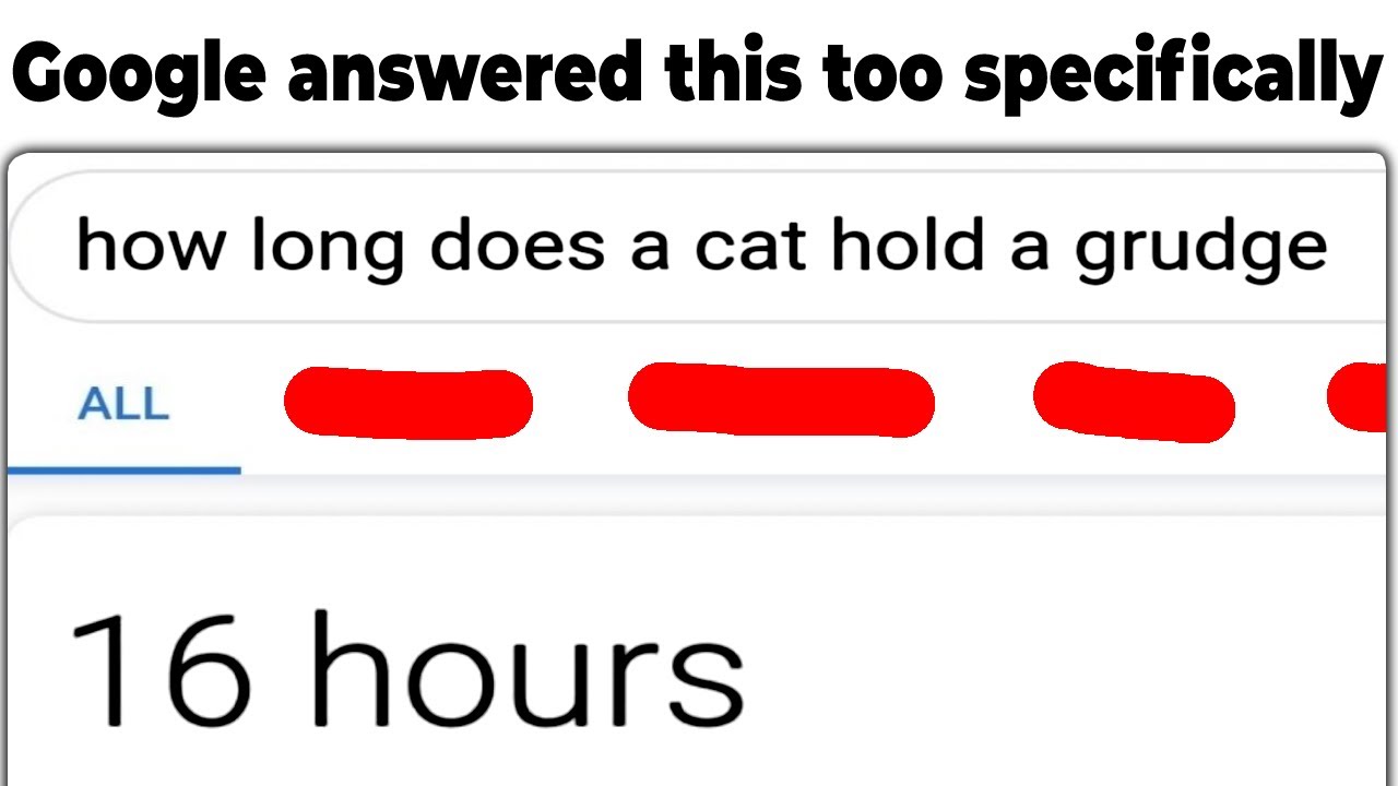 Oddly Specific Memes - YouTube