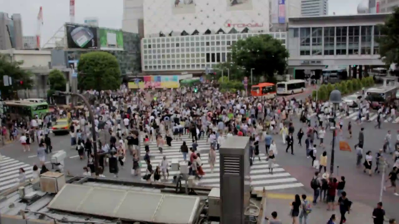 Time Lapse Video Of People Crossing The Street Creative Commons Video ...