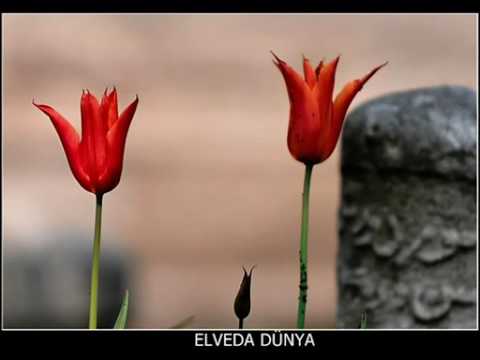 Elveda dunya bb