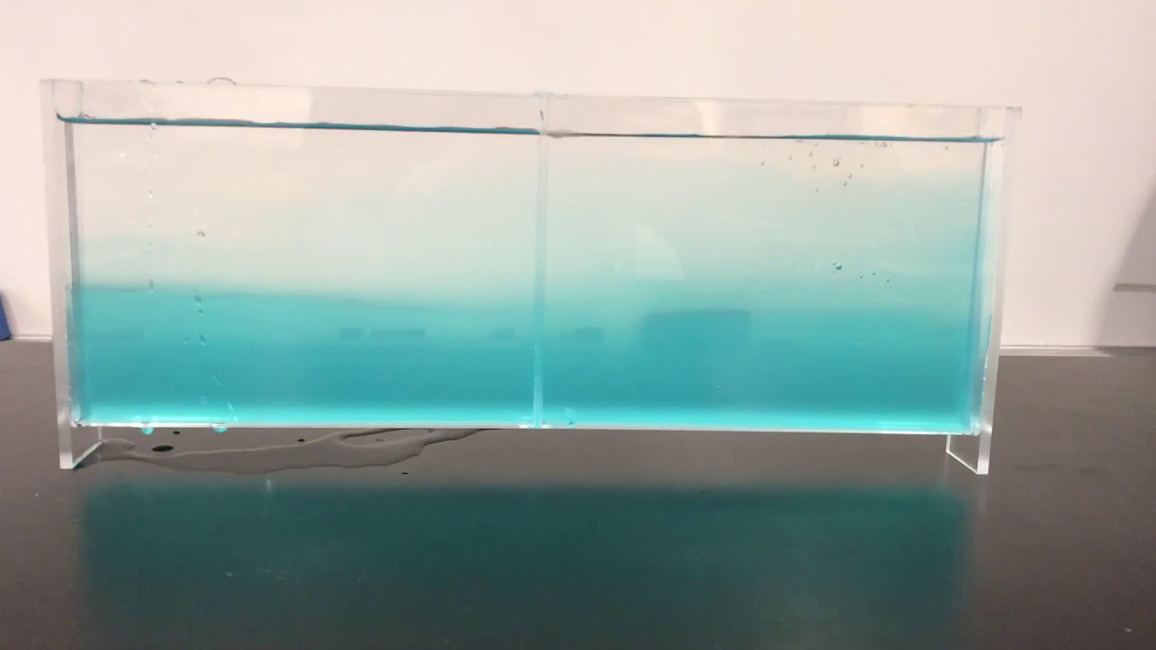 Density Demonstration: Salinity - YouTube