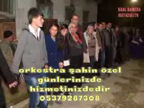 kral kamera -orkestra şahin