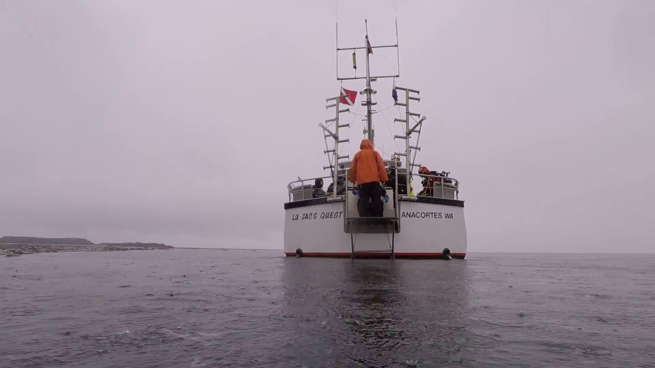 Long Island Wall Dive from Anacortes, WA, Part 1 - YouTube