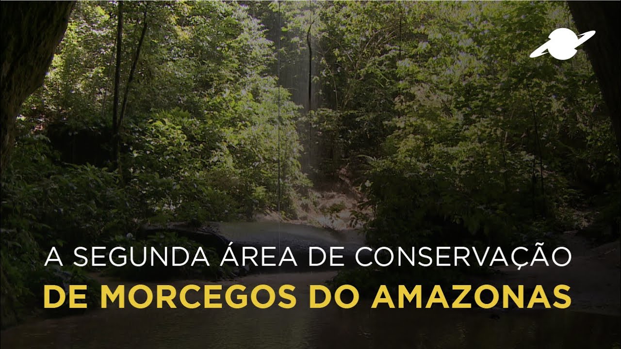 CONHEÇA O COMPLEXO CAVERNA DO MAROAGA - YouTube