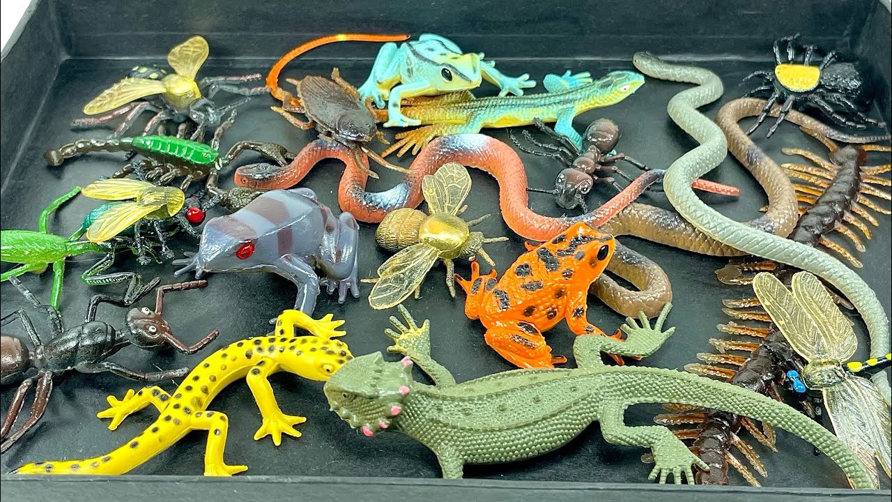 Creepy Crawly Critters Chefatron Review - YouTube