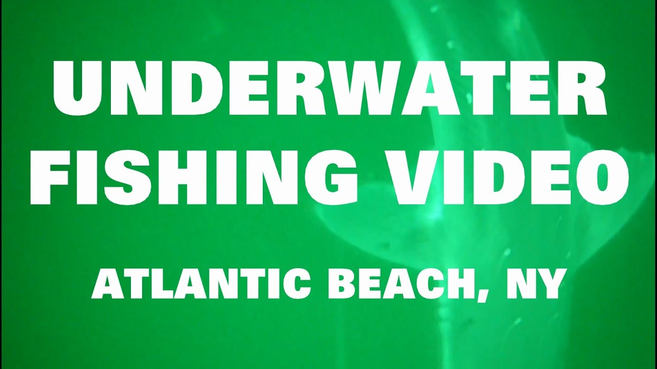 Underwater Video of Atlantic Beach Reef - YouTube