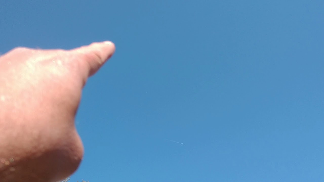 Who knows anymore... Not I said the Fly, not me said the Bee - YouTube