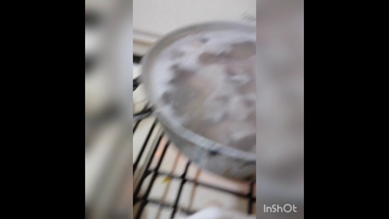 Pipiota. Pinguilin cebolla aguacate y clara de huevo - YouTube