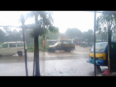 BRISTY DIN . - YouTube