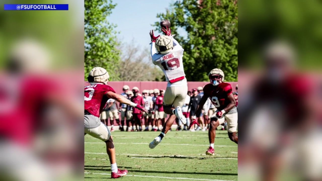 Campus Corner: Previewing FSU'S spring game and recapping UF and UGA'S ...
