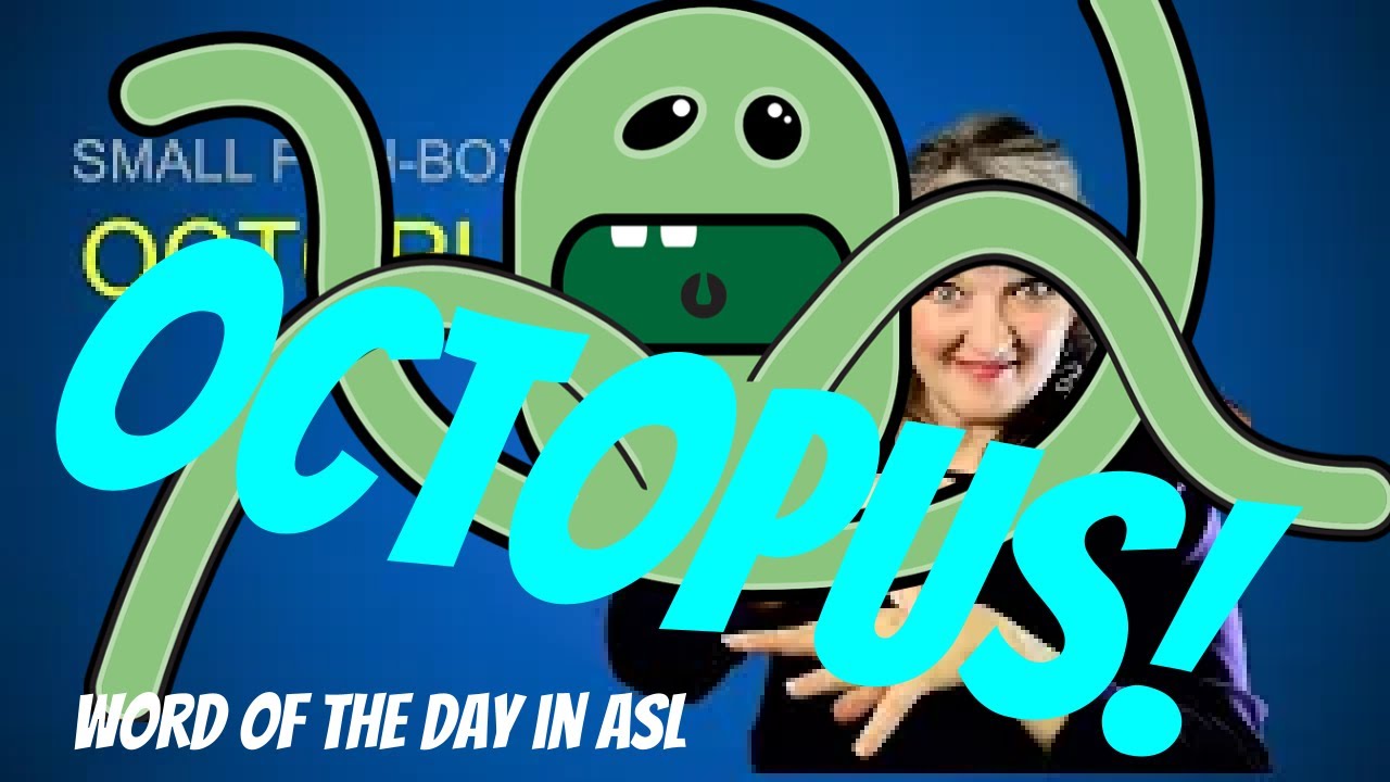 How To Sign Octopus - YouTube