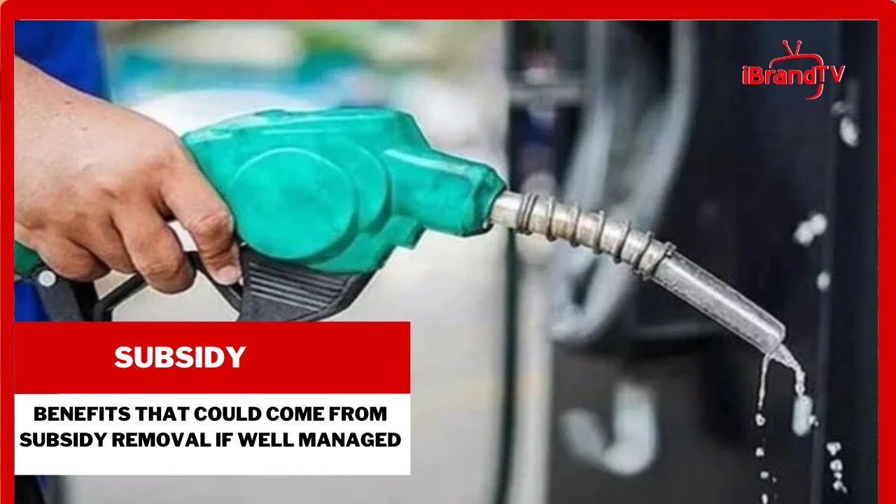 BENEFITS THAT COULD COME FROM SUBSIDY REMOVAL IF WELL MANAGED - YouTube