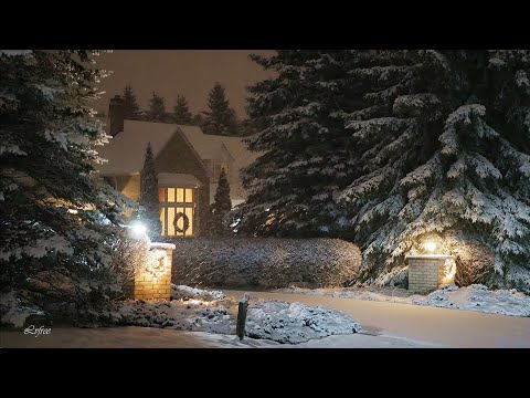 Winter SNOW STORM at Night - Calming Winter Ambience Snow Falling video