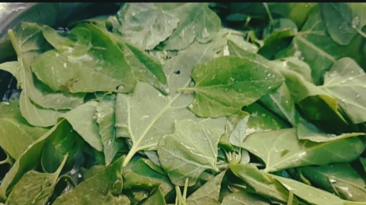 chakotha soppu Sambar#recipes #easyrecipe #traditionalrecipe # ...