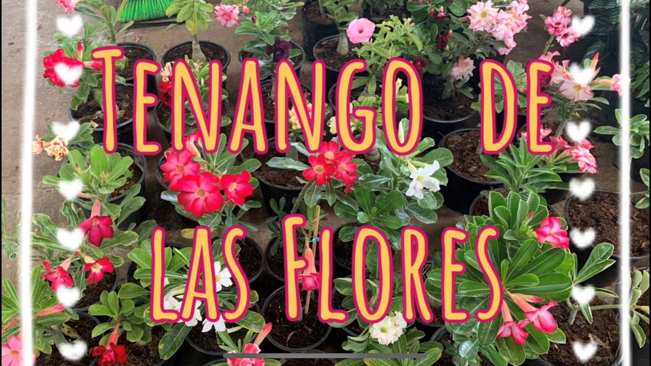 Tenango de las Flores Puebla - YouTube
