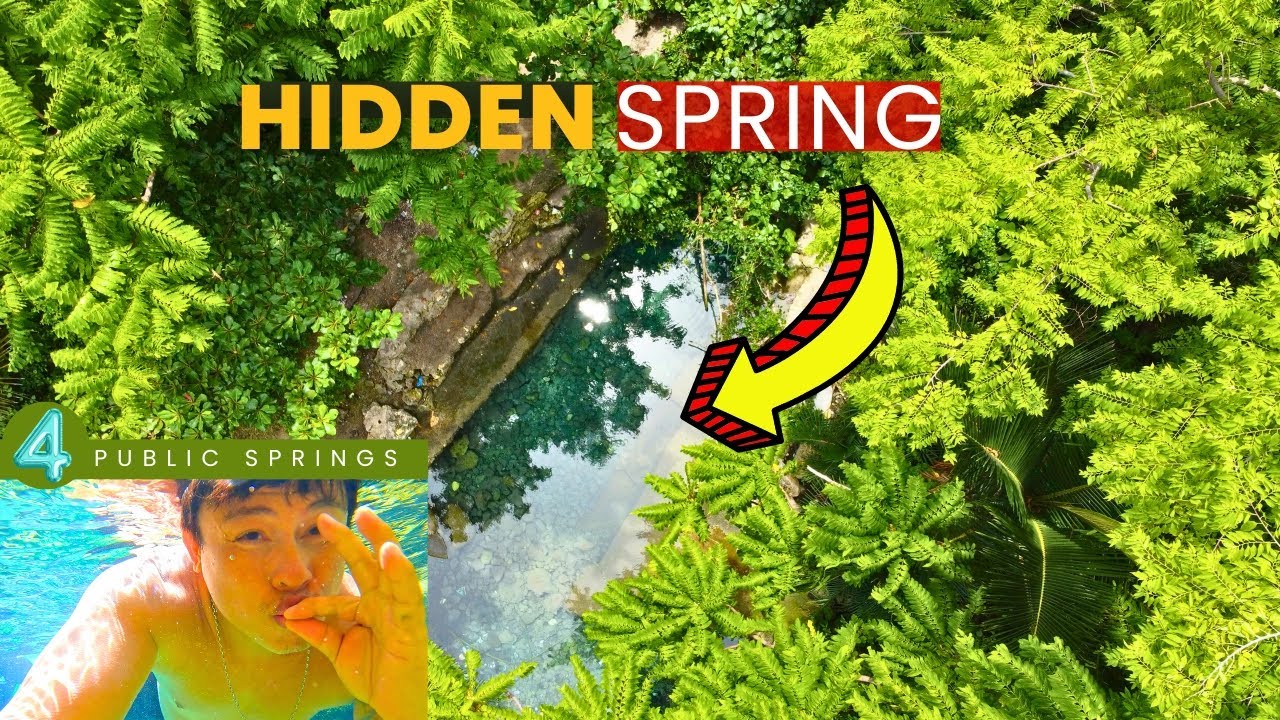 CLEAREST WATERS in Argao | 4 Public Springs (1 is SECRET & HIDDEN ...