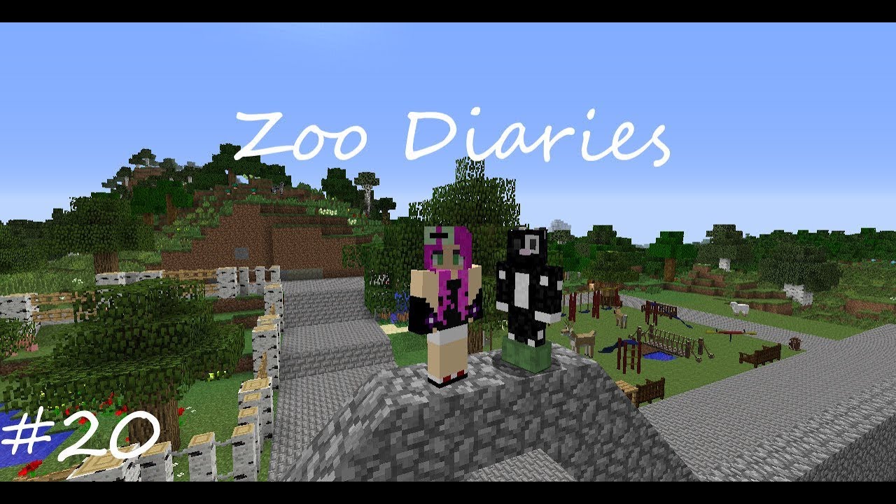 Details! Episode 20 - Zoo Diaries - YouTube
