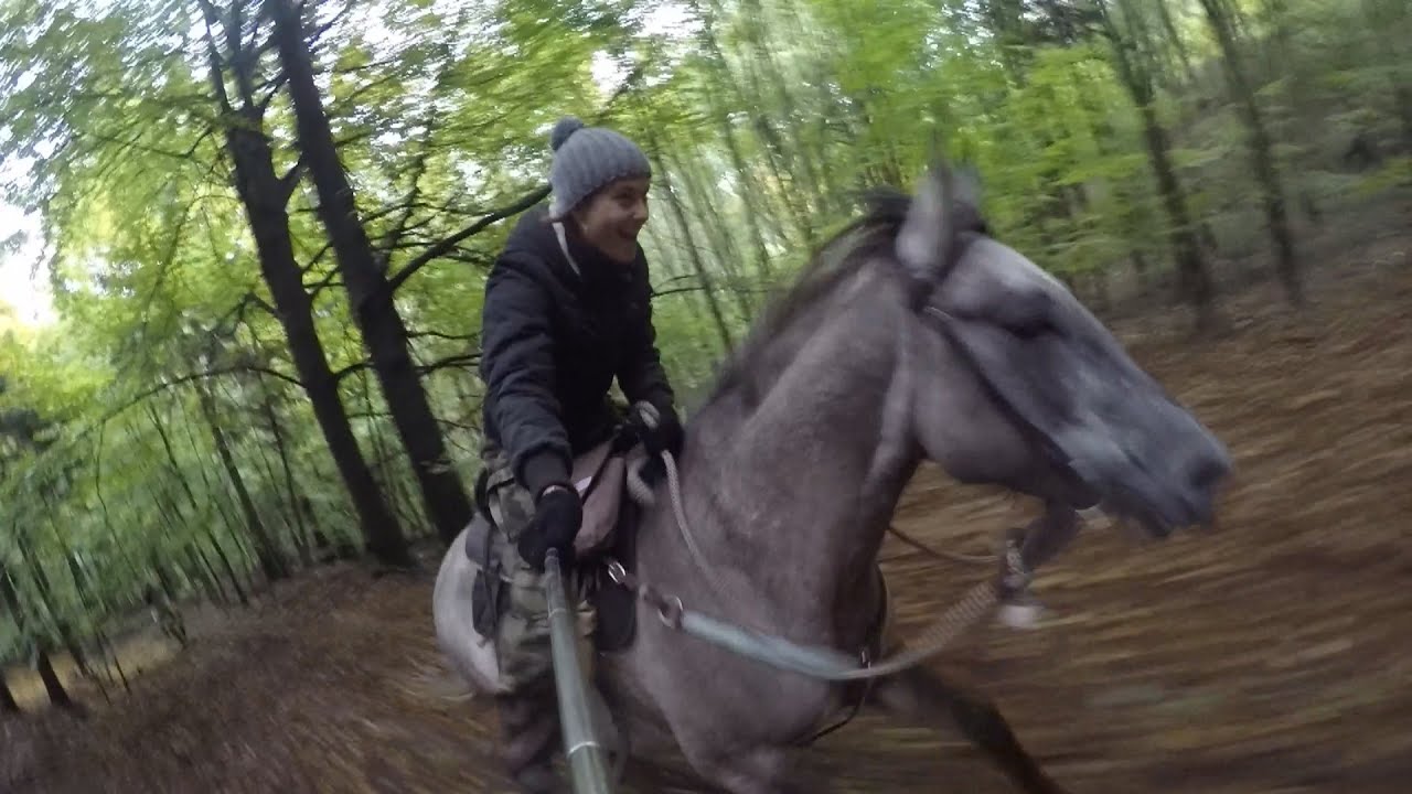 Autumn horseback riding (GoPro Hero 4 black) - YouTube