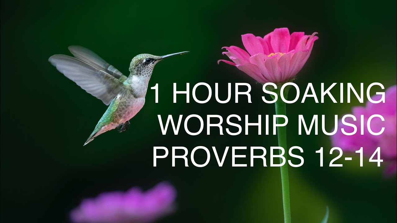 1 HOUR SOAKING WORSHIP MUSIC//PROVERBS 12-14 - YouTube