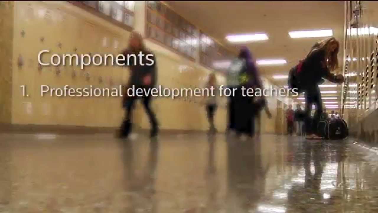 Building Assets, Reducing Risks - An Overview - YouTube