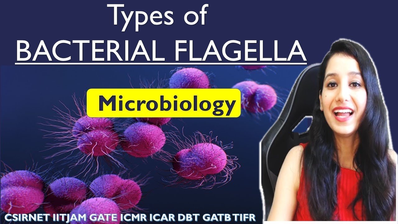 Types of Flagella in Bacteria I Microbiology I CSIRNET GATE IITJAM GATB ...