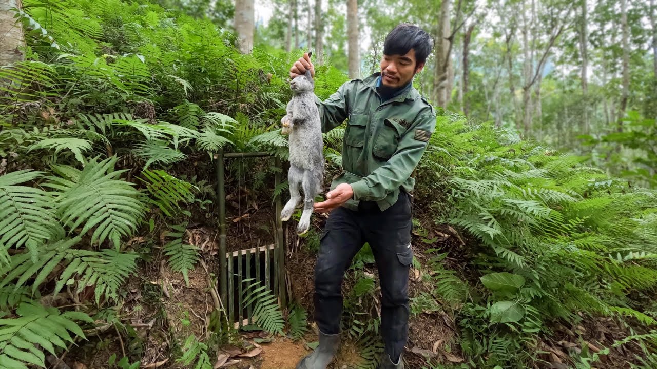 Hare Hunting Season, Building Shelters, How to Make Primitive Traps ...
