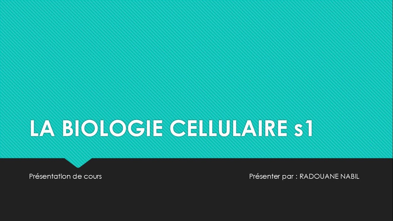 Biologie cellulaire: plan (cours maroc) - YouTube