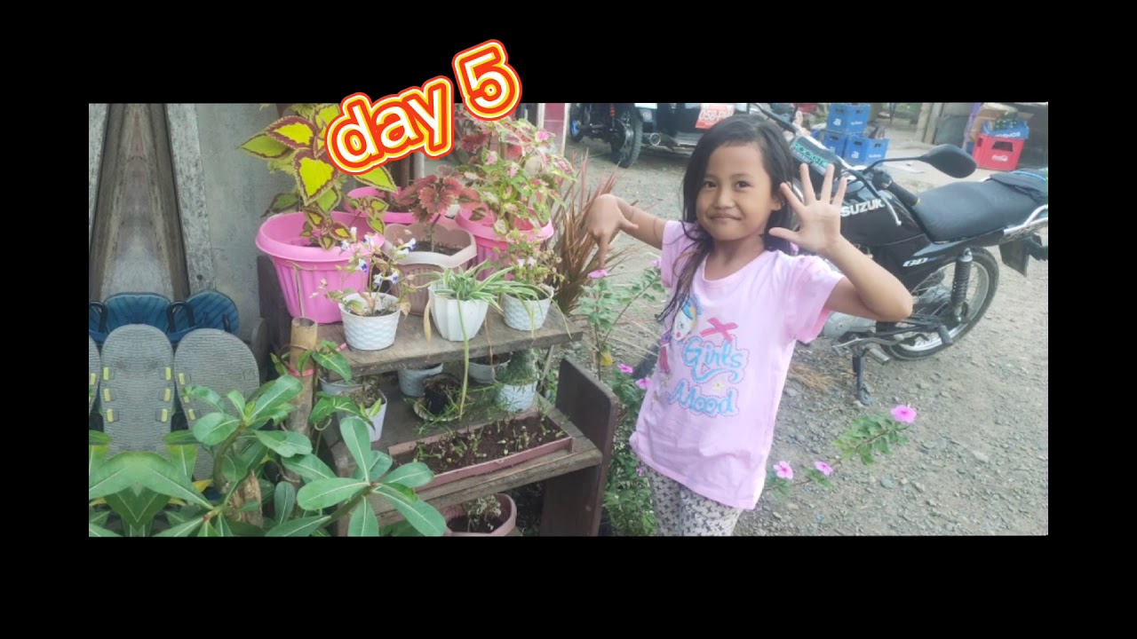 mongo planting observation performance task for kinder science ️ - YouTube