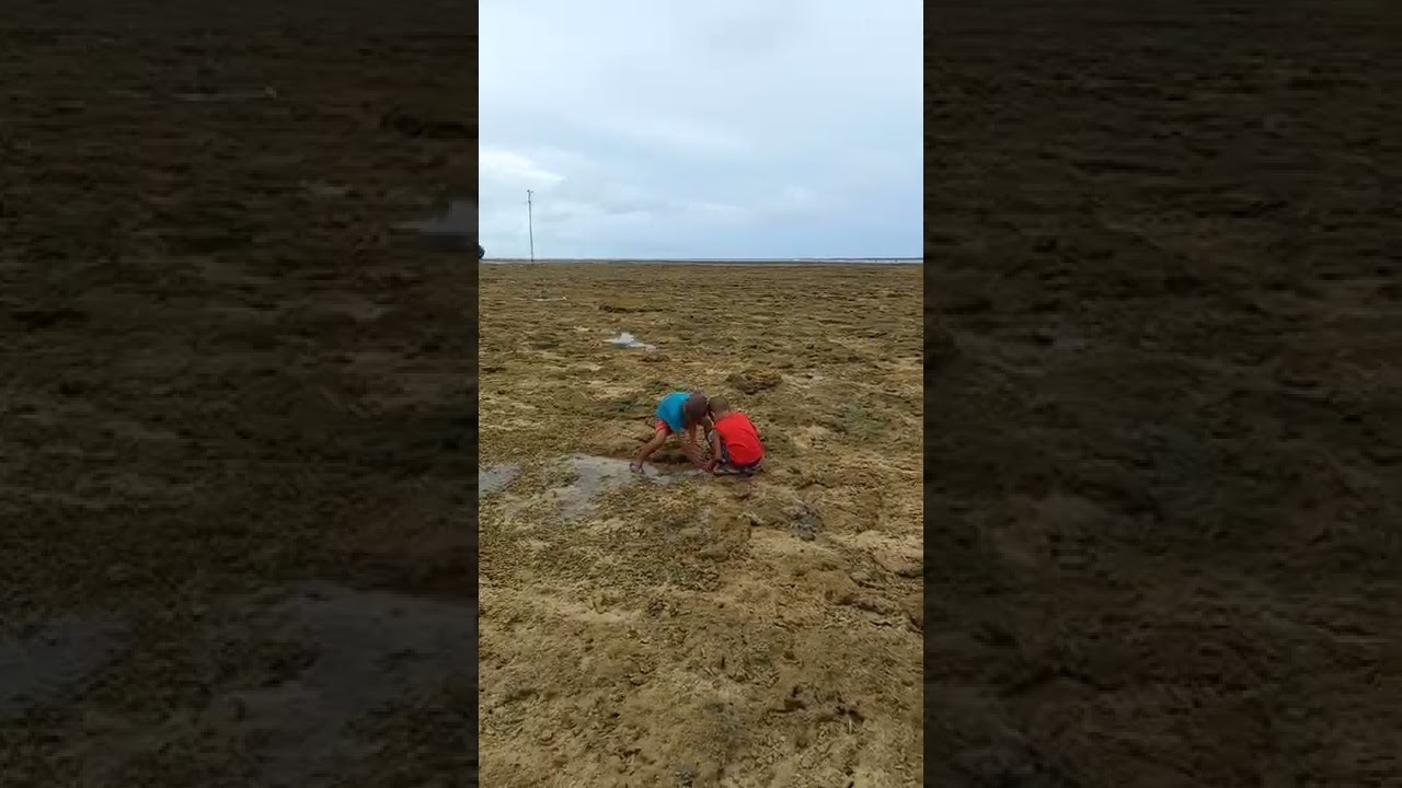 vacation at llorente samar - YouTube