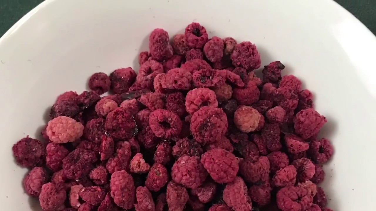 HOW TO DEHYDRATE RASPBERRY - YouTube