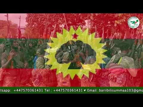 Gabaasa Tarkaanfii  ONM-ABO  Guraandhala 5-2026 itti dhiyaadhaa!