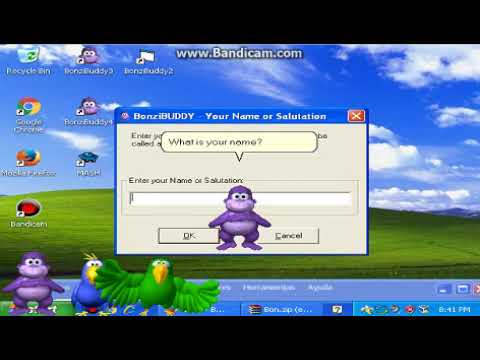 BonziBUDDY & MaxALERT Installs ThemSelfs - YouTube