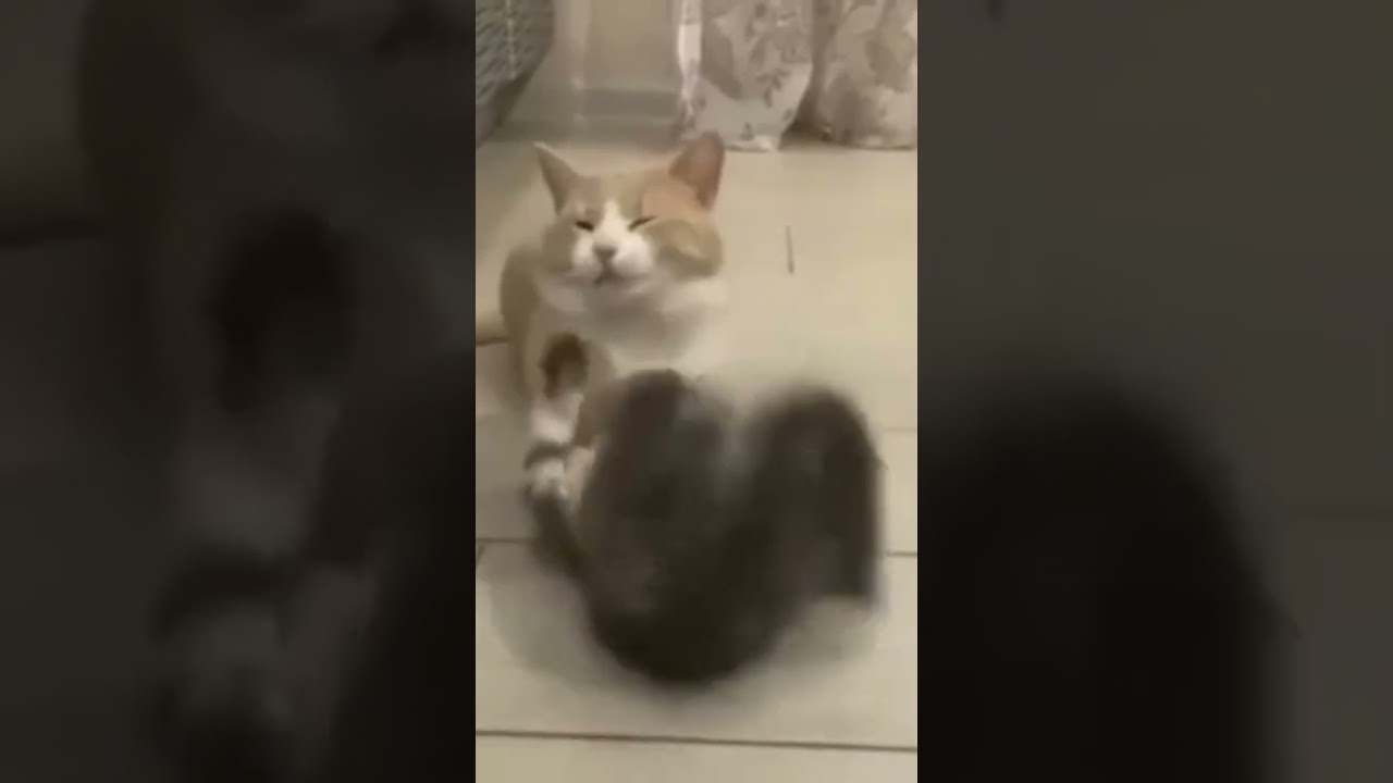 Esskayuwu | Пикабу