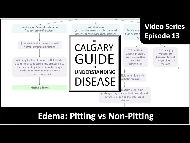 Pitting Edema In Dogs Causes