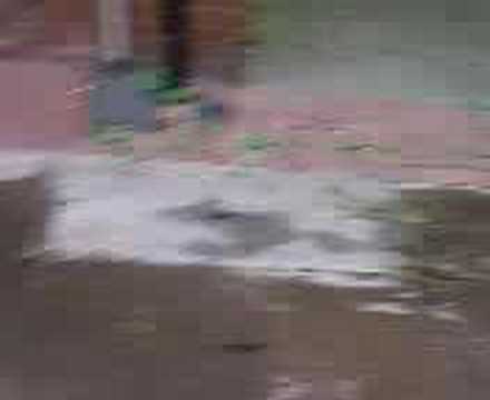 Leaking Overflow Pipe - YouTube