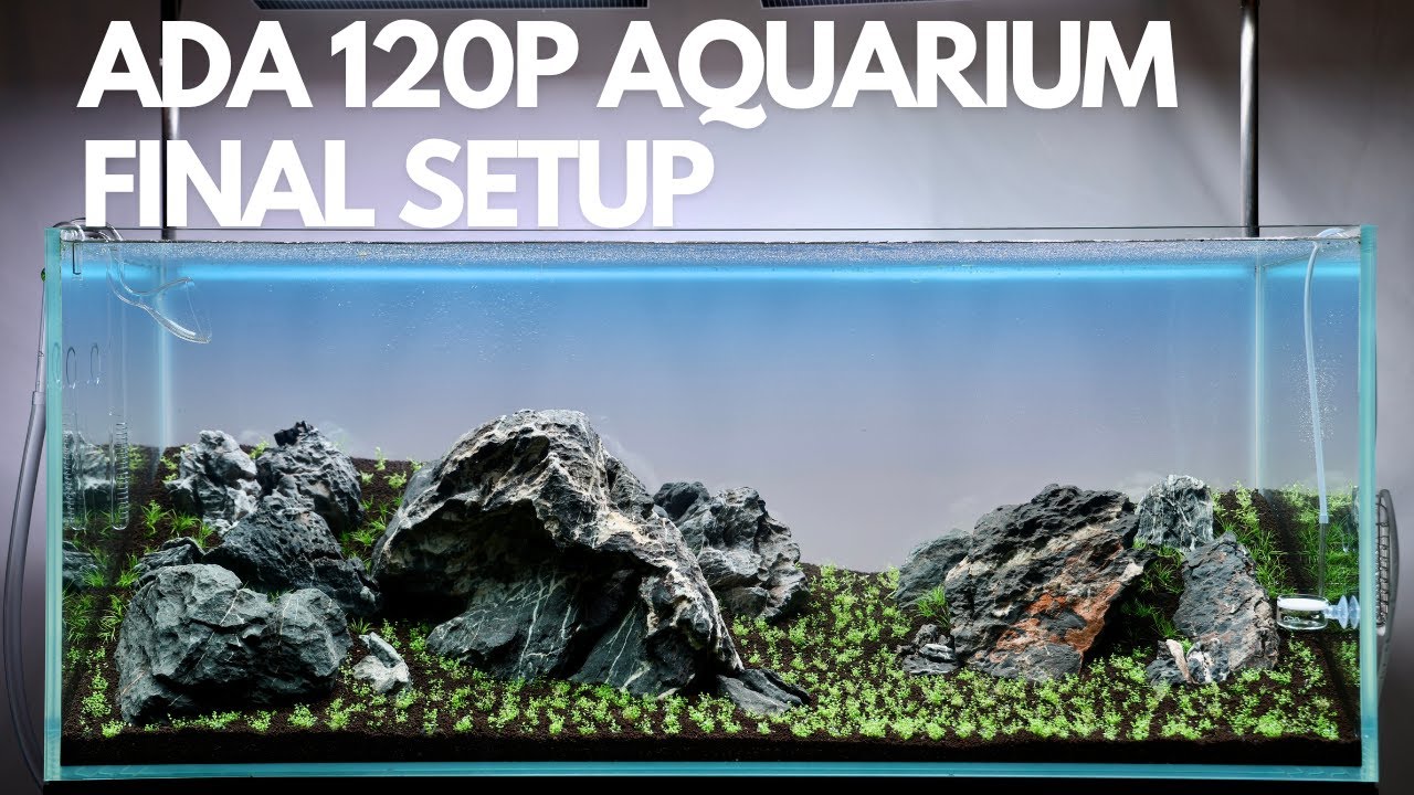 Planting the New ADA 120P Layout – Full System Setup - YouTube