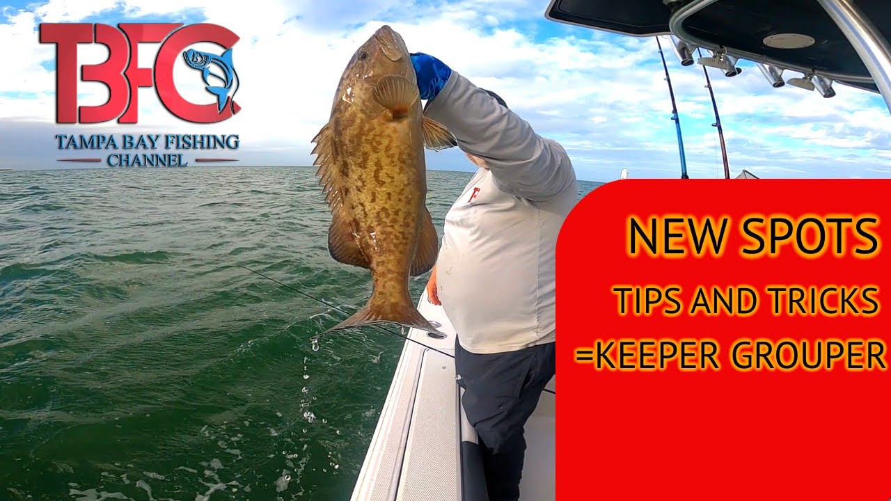 New Spots, Tips and Tricks = Keeper Gag! Fishing Tampa Bay - YouTube